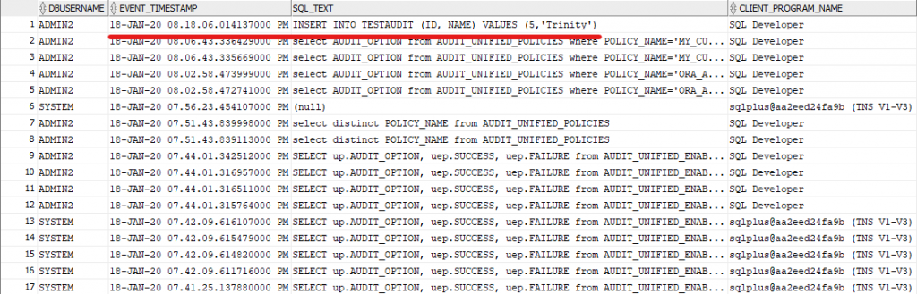 Oracle Database 19c auditing with Multitenant Architecture | DeveloperNote.com