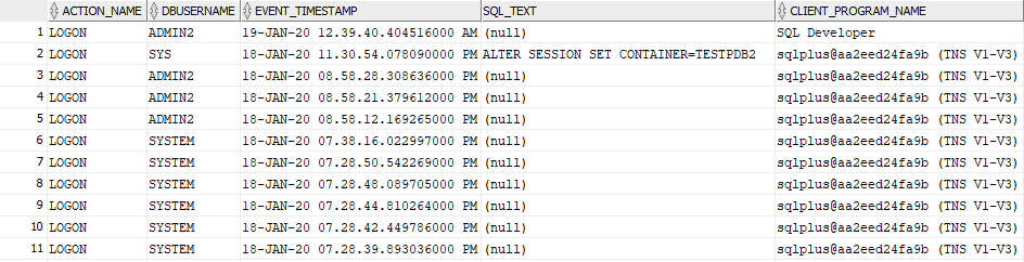 Oracle Database 19c Auditing With Multitenant Architecture 