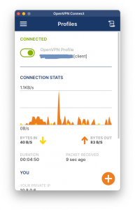 OpenVPN in a Docker container | DeveloperNote.com